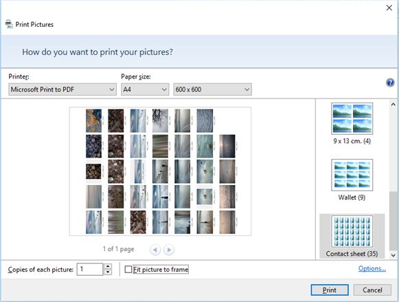 How To Make A Contact Sheet Photoshop And Windows 2023 Photography 